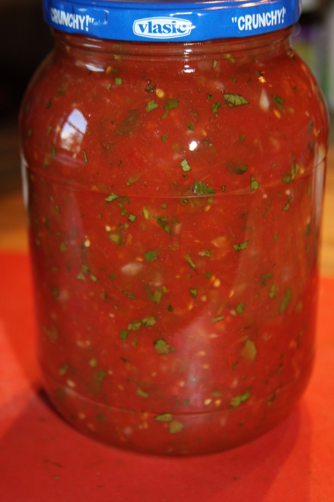Salsa | OhMyGoodyGoodness